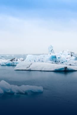 Круизы в Антарктику