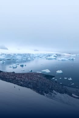 Круизы в Антарктику